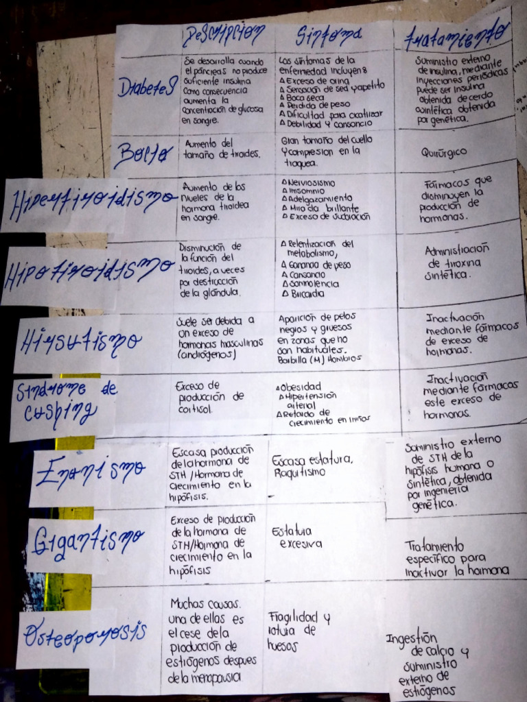 Cuadro Enf Endocrinas | PDF | Biología | Sistema endocrino