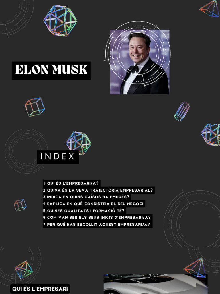 Elon Musk | PDF
