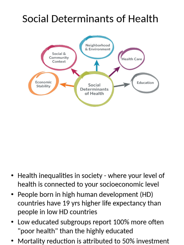 Social Determinants of Health Analysis | PDF | Health Equity | Poverty