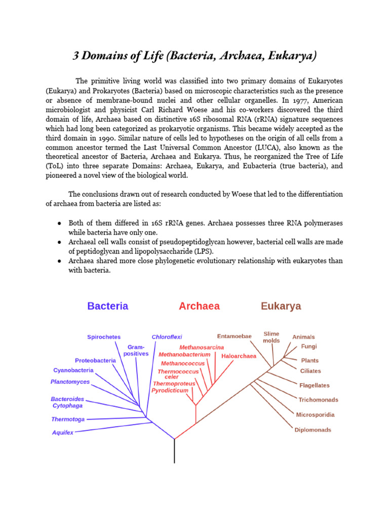 3 Domains of Life v2 | PDF | Archaea | Eukaryotes
