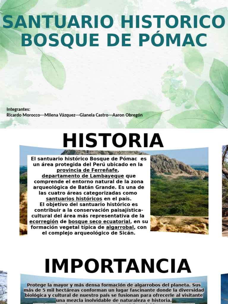 Santuario Historico Bosque de Pómac | PDF