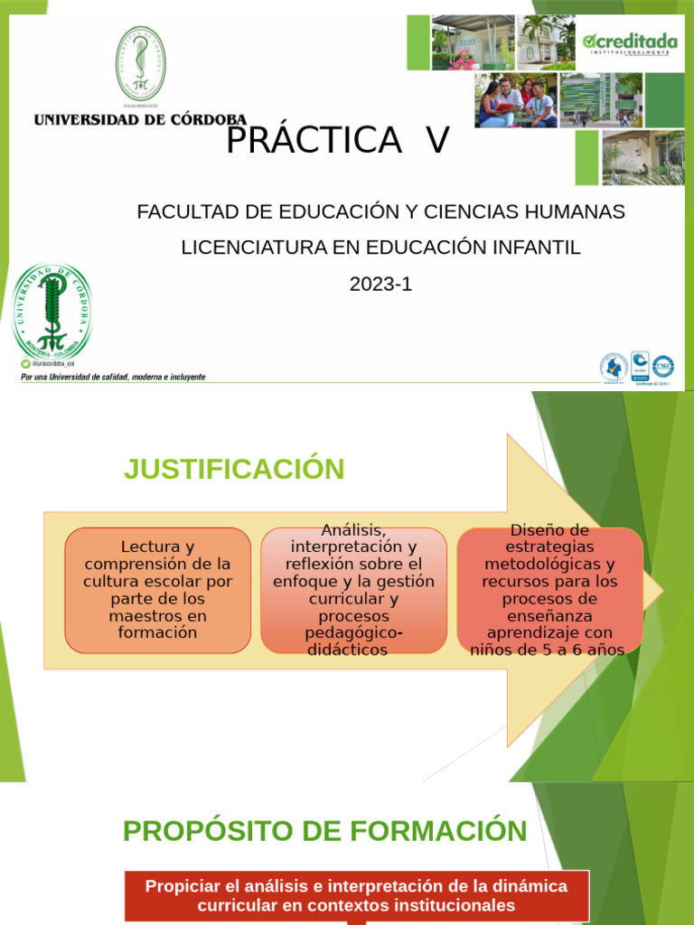 Presentación Del Curso Practica V | PDF | Educación de la primera ...