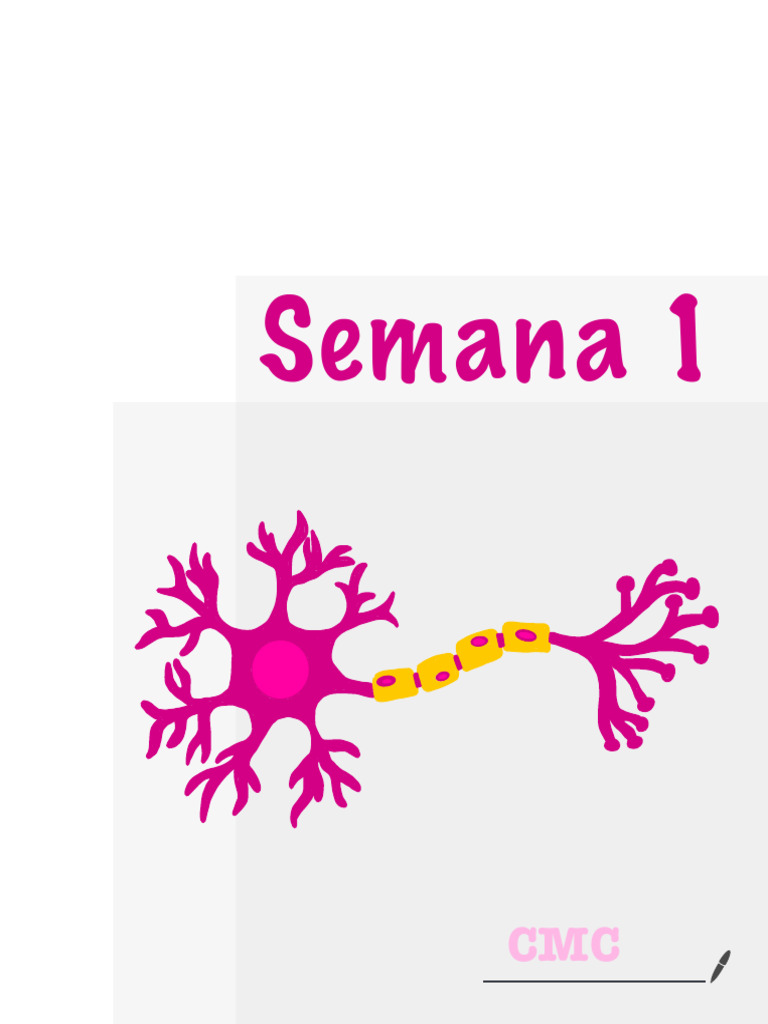 Semana 1 | PDF | Axon | Neurona