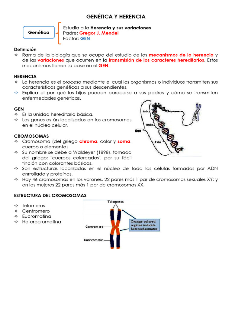 Genética y Herencia - VC | PDF