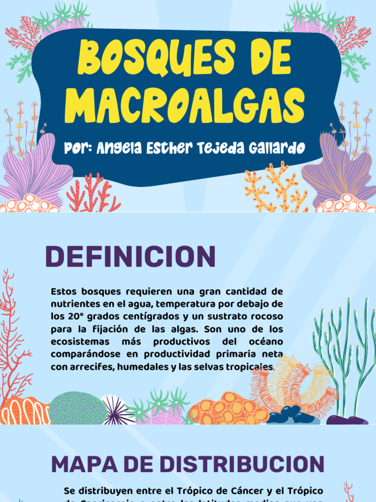 Diapositivas - Bosques de Macroalgas | PDF | Arrecife de coral ...
