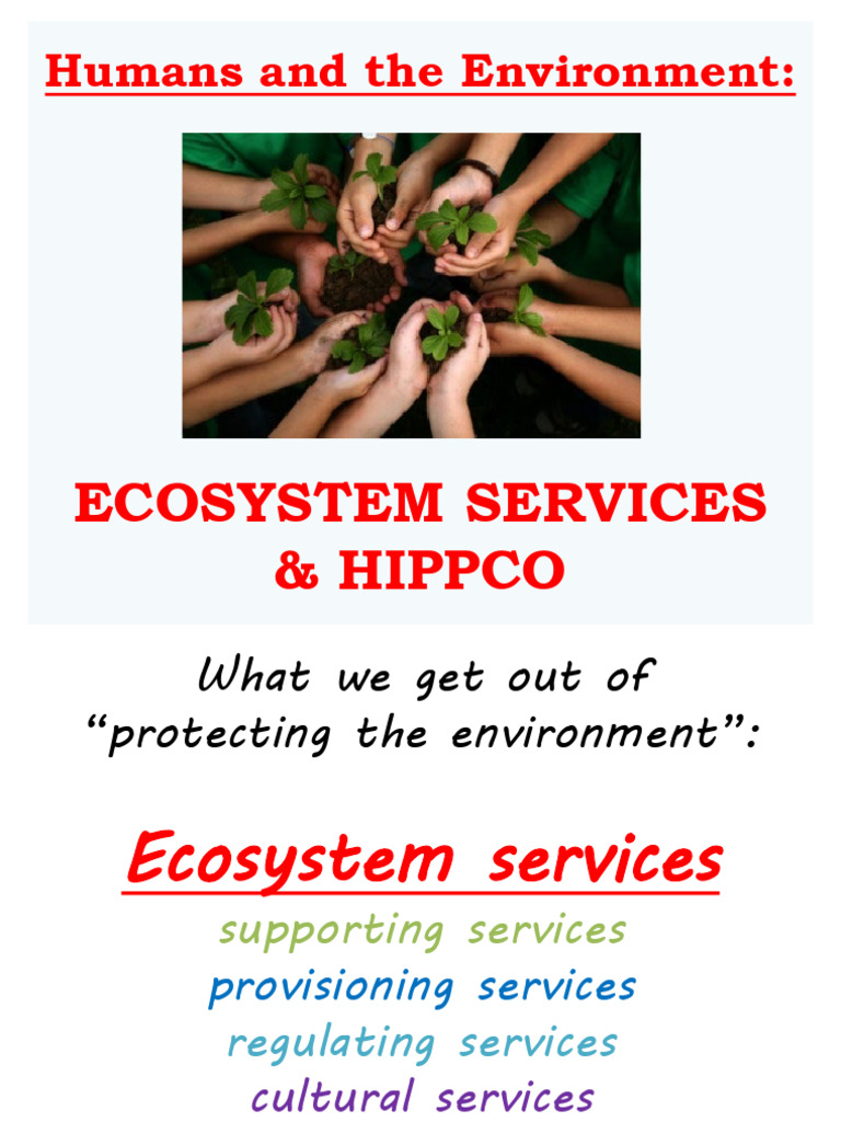 Humans and The Environment (Eco Services & HIPPCO) Lecture | PDF ...