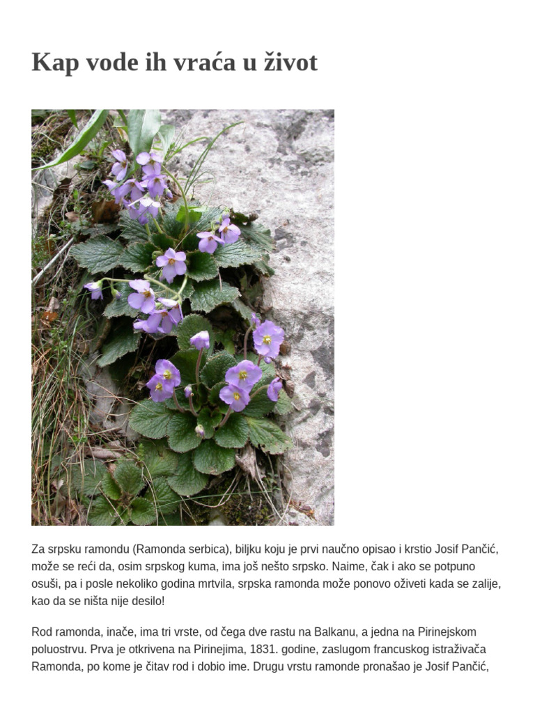 Kap Vode Ih Vraća U Život | PDF