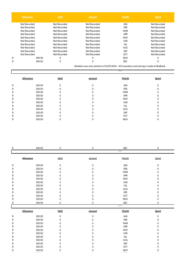 Monthly Allowance and Debt Log | PDF