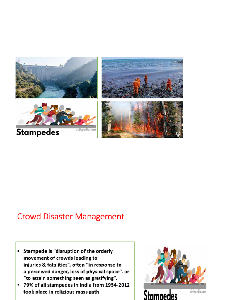 Effective Crowd Disaster Management Strategies | PDF | Wildfire | Oil Spill