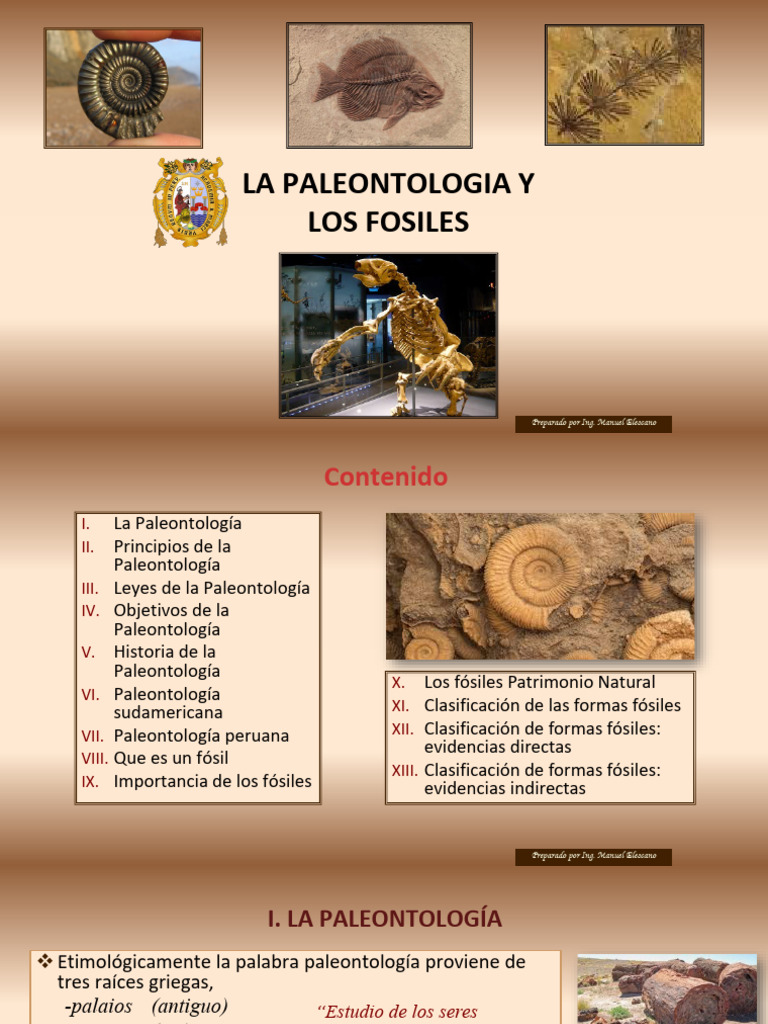 Introducción a la Paleontología y Fósiles | PDF | Biología ...