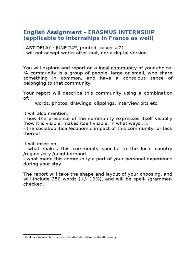 Erasmus English Assignment | PDF