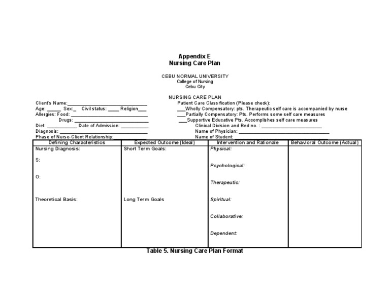 Nursing Care Plan Template | PDF