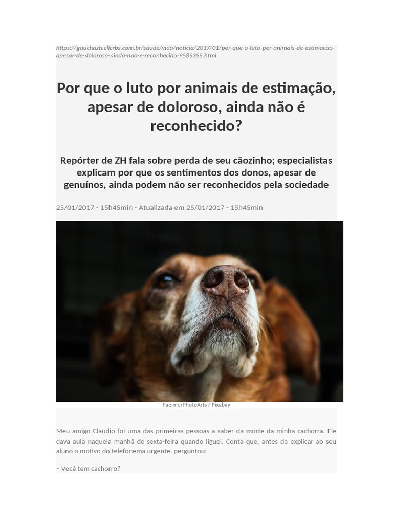Luto por Animais: Reconhecimento e Dor | PDF | Cães | Psicologia