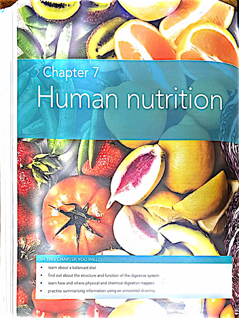 Biology Grade 9 - IGCSE - Chapter 7 - Human Nutrition | PDF | Digestion ...