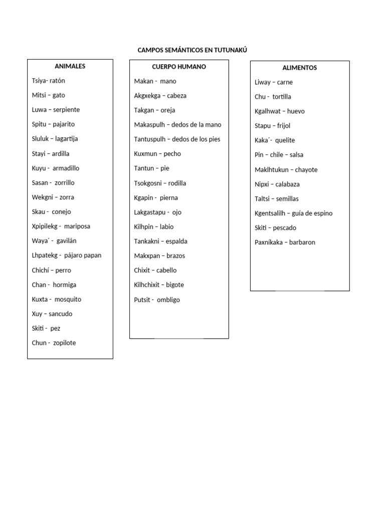 Campos Semánticos en Tutunakú | PDF