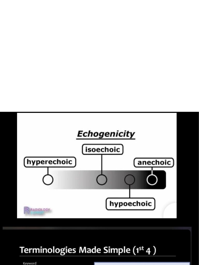 Kidney Echogenicity | PDF