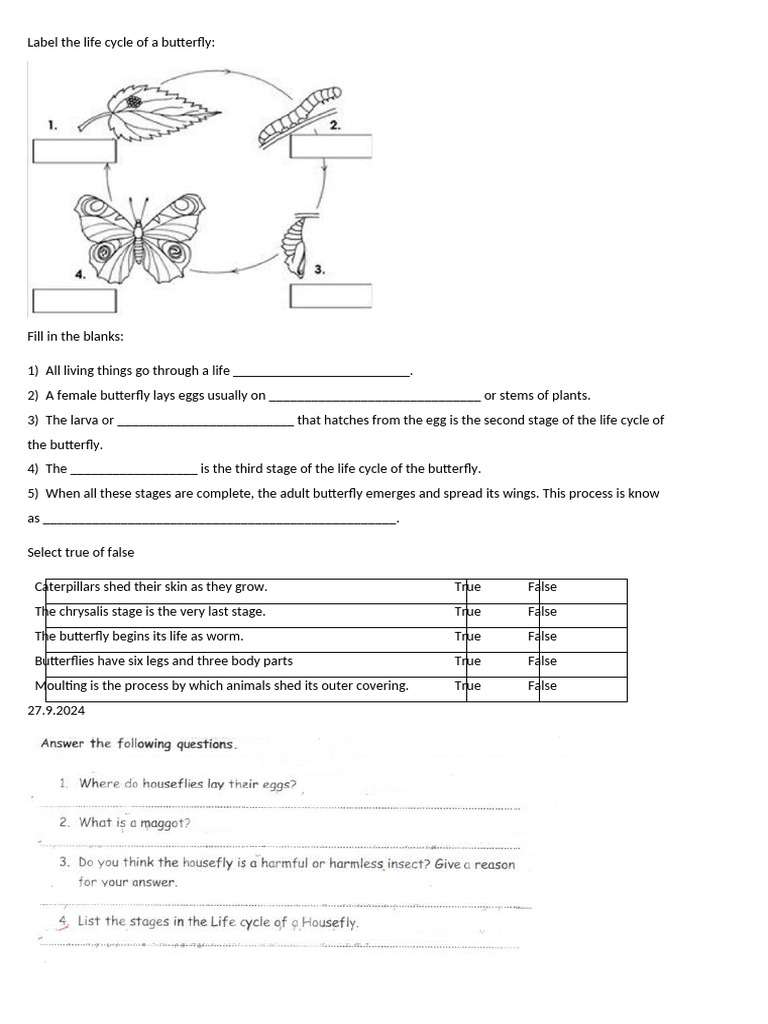 Science Test Papers From Miss | PDF