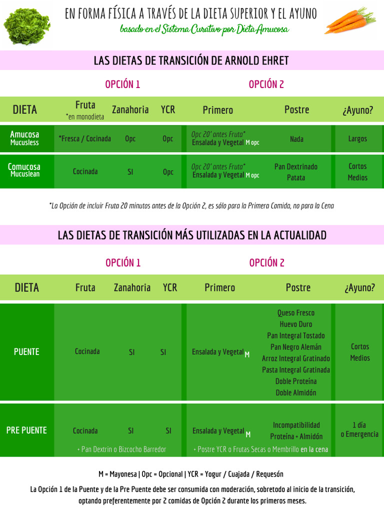 07 Esquema de las Distintas Dietas de Transición | PDF | ensalada | Panes