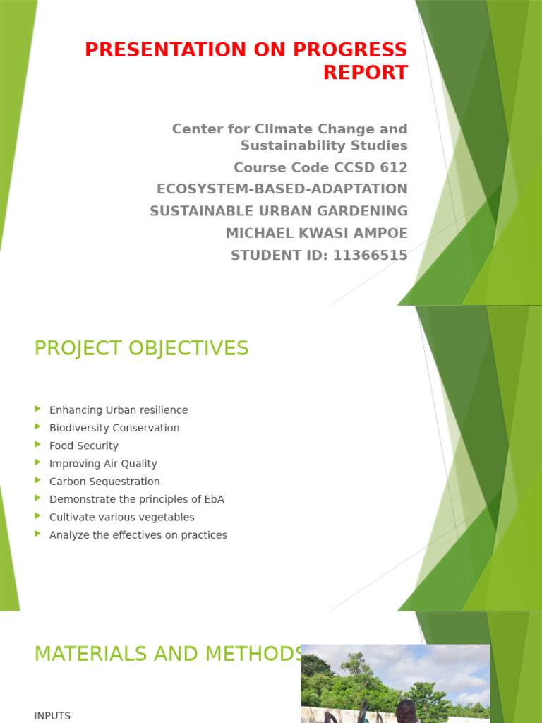 Presentation On Progress Report | PDF