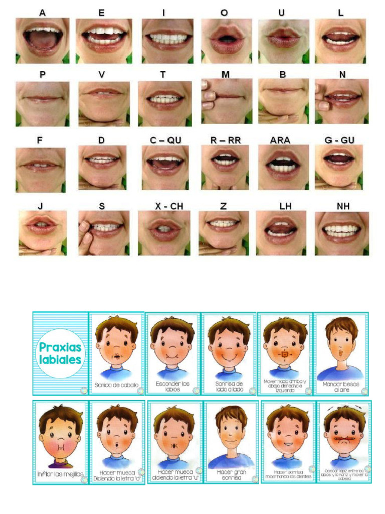 Praxias Linguales y Labiales | PDF