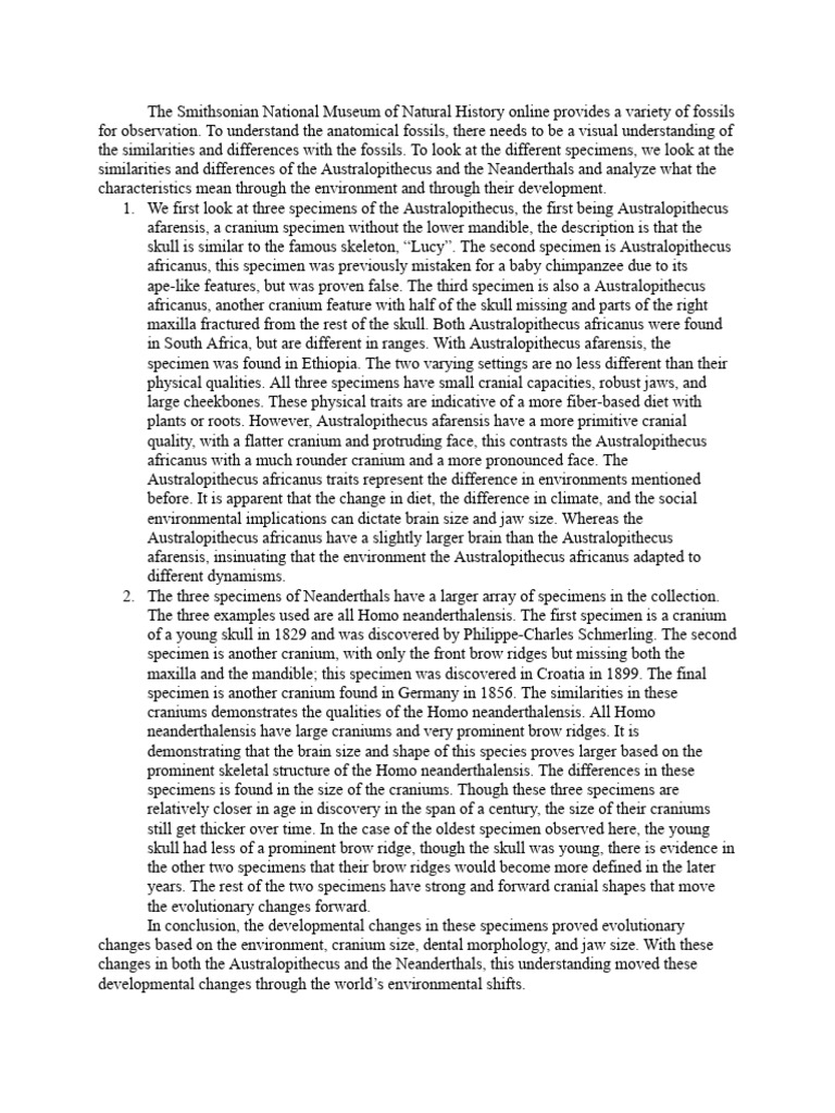 Fossil Lab | PDF | Skull | Homo