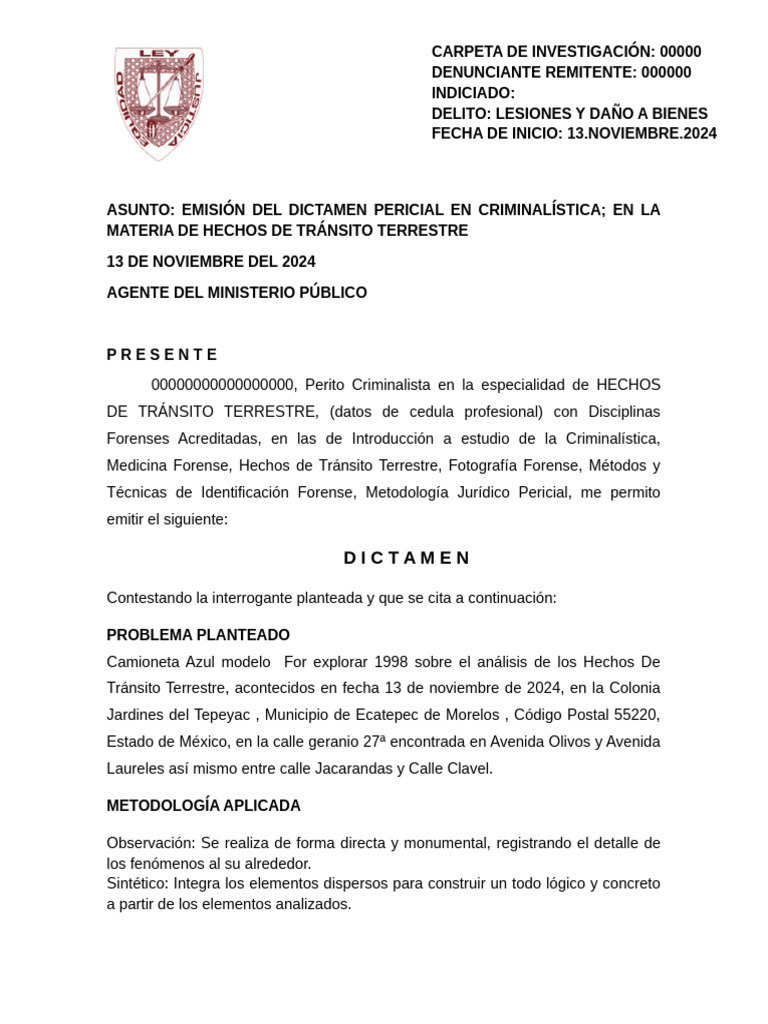 Dictamen pericial Hecho de tránsito | PDF | Ciencia forense | Metodología