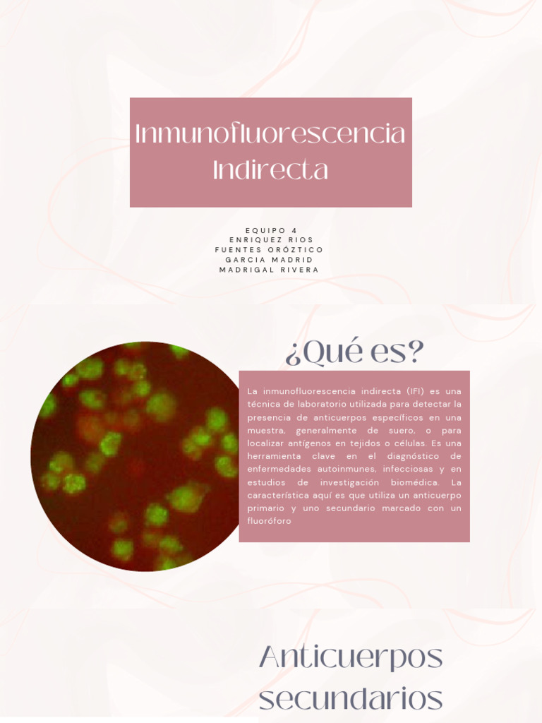 Inmunofluorescencia Indirecta: Guía Completa | PDF ...