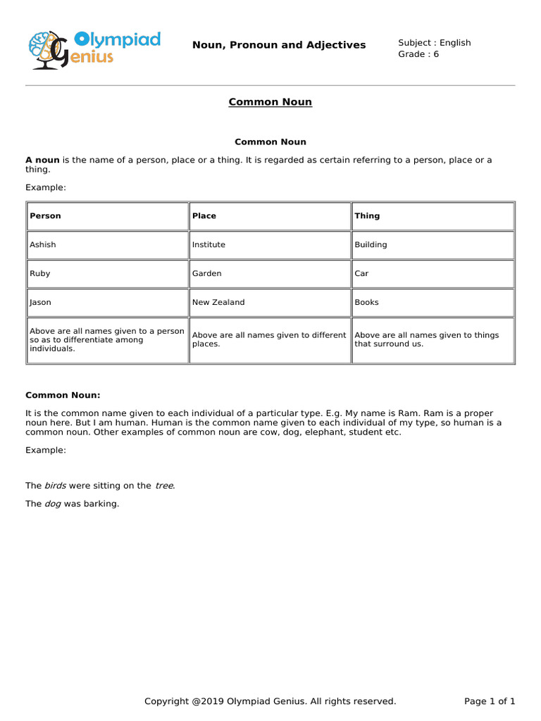 Nouns, Pronouns, and Adjectives Guide | PDF