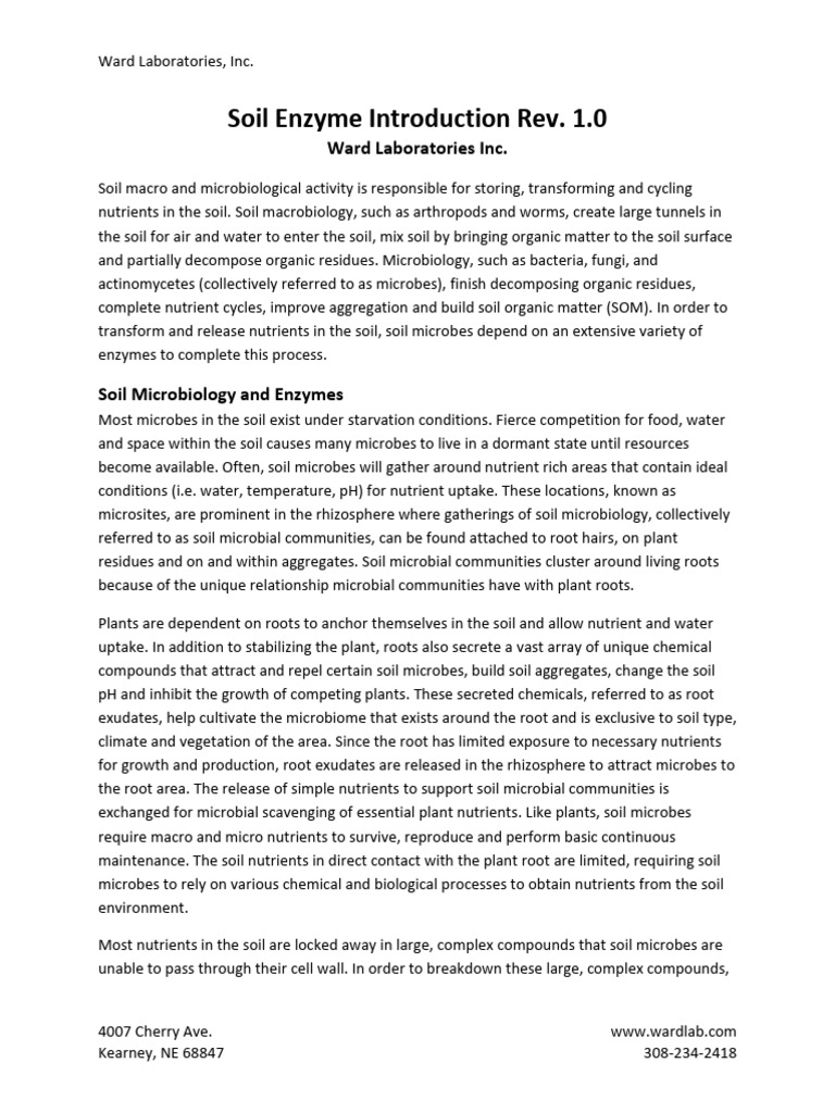 Soil Enzyme Info Rev 1.0 | PDF | Soil | Enzyme