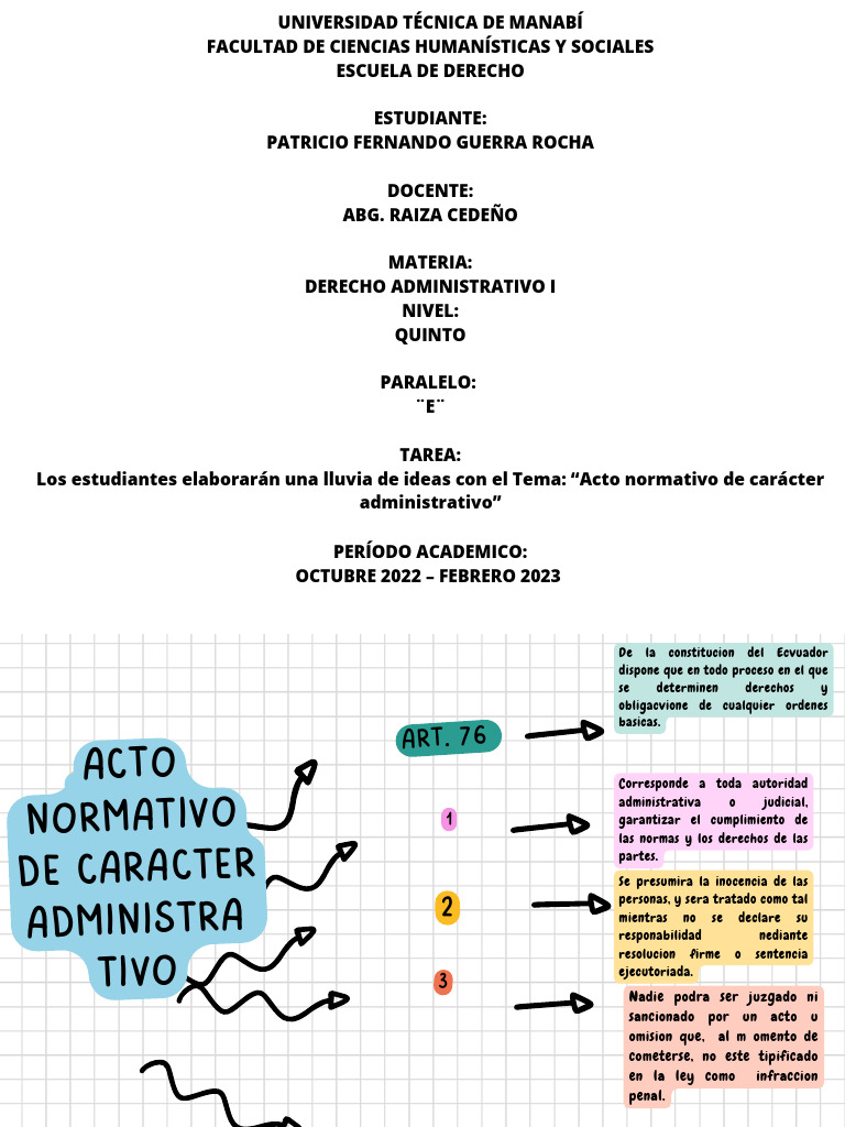 Lluvia de Ideas PATRICIO FERNANDO GUERRA ROCHA | PDF | Gobierno | Justicia