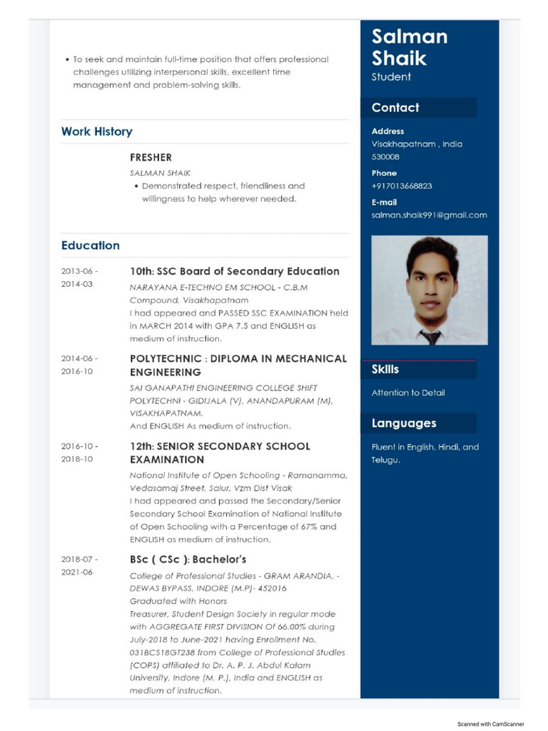 Salman Resume | PDF