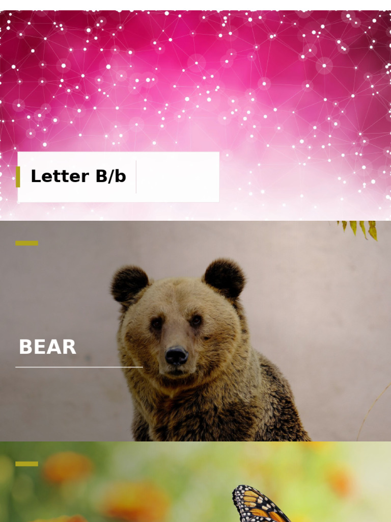 Letter B | PDF