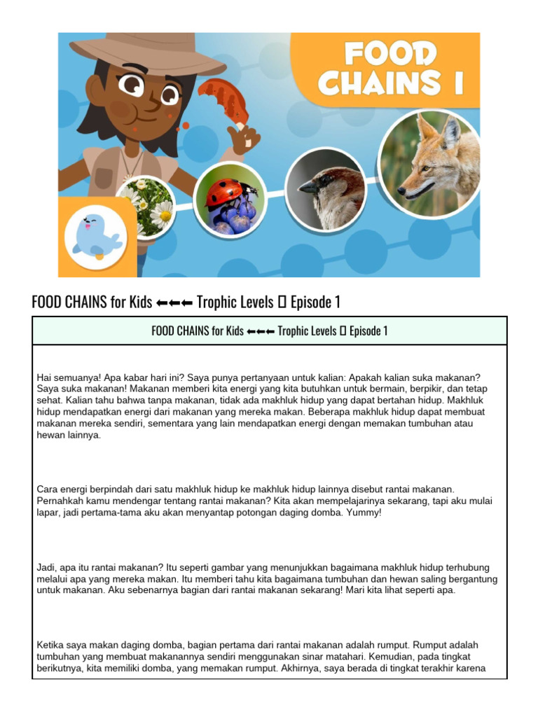 FOOD CHAINS For Kids ? ? ? ? Trophic Levels ? Episode 1 - by Diffit ...