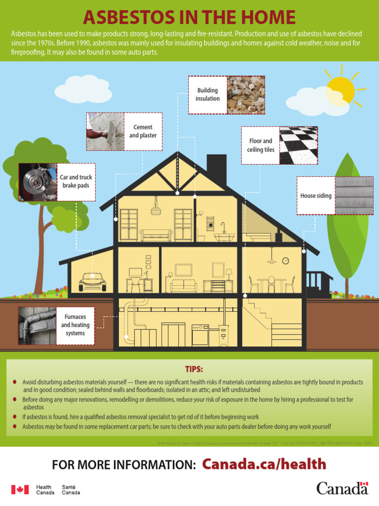 Asbestos Infographic Eng | PDF