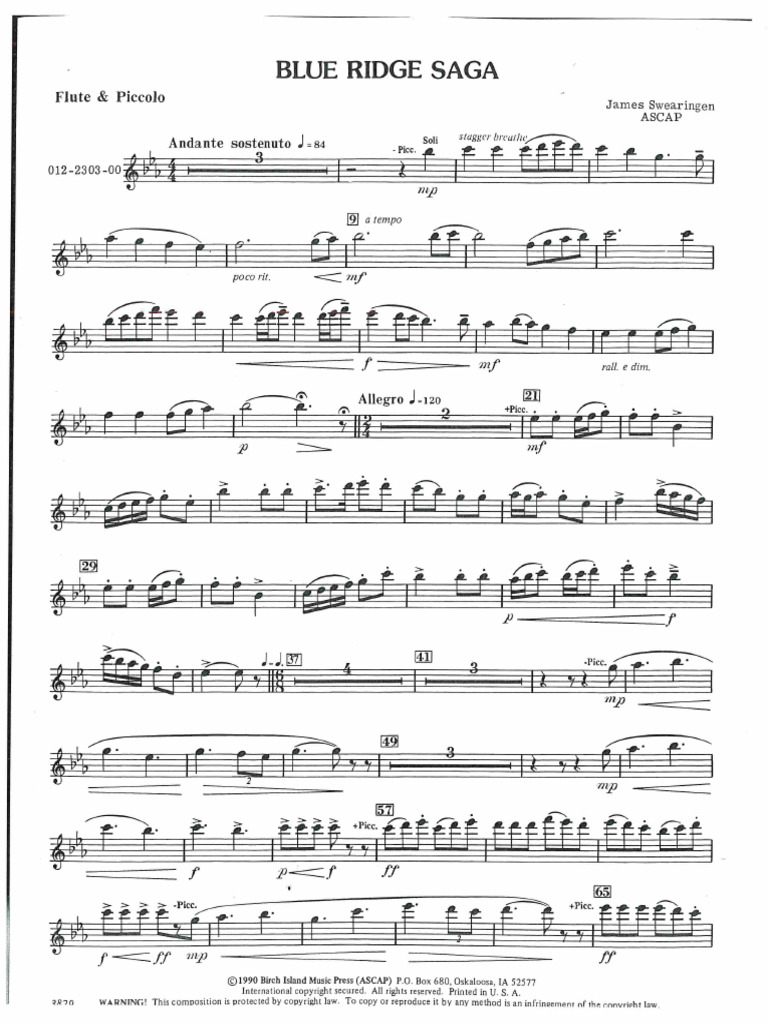 Blue Ridge Saga | PDF