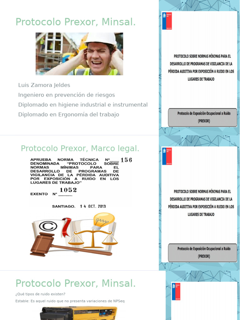 PREXOR (1) | PDF | ruido | Higiene Ocupacional