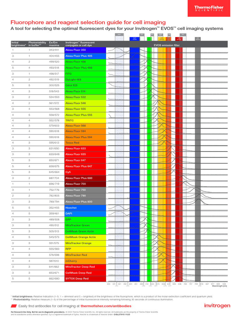 Fluorophore Reagent Selection Guide Cell Imaging Selection Guide | PDF ...