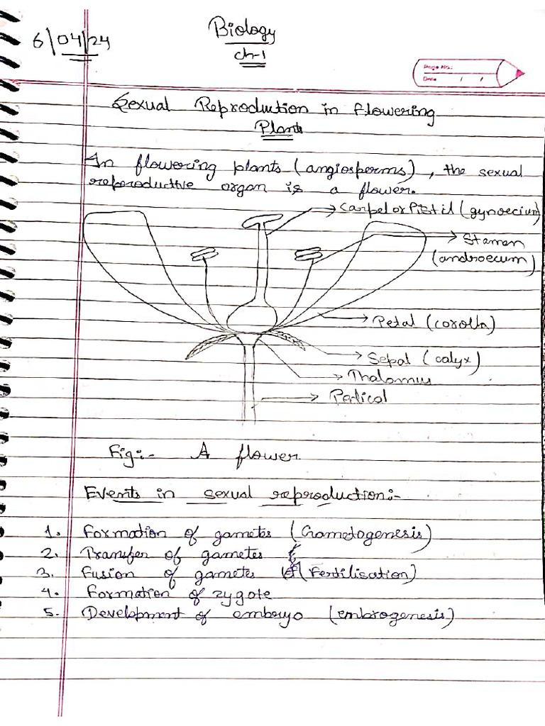 biology_class_12th_chapter_1_sexual_reproduction_of_plants | PDF