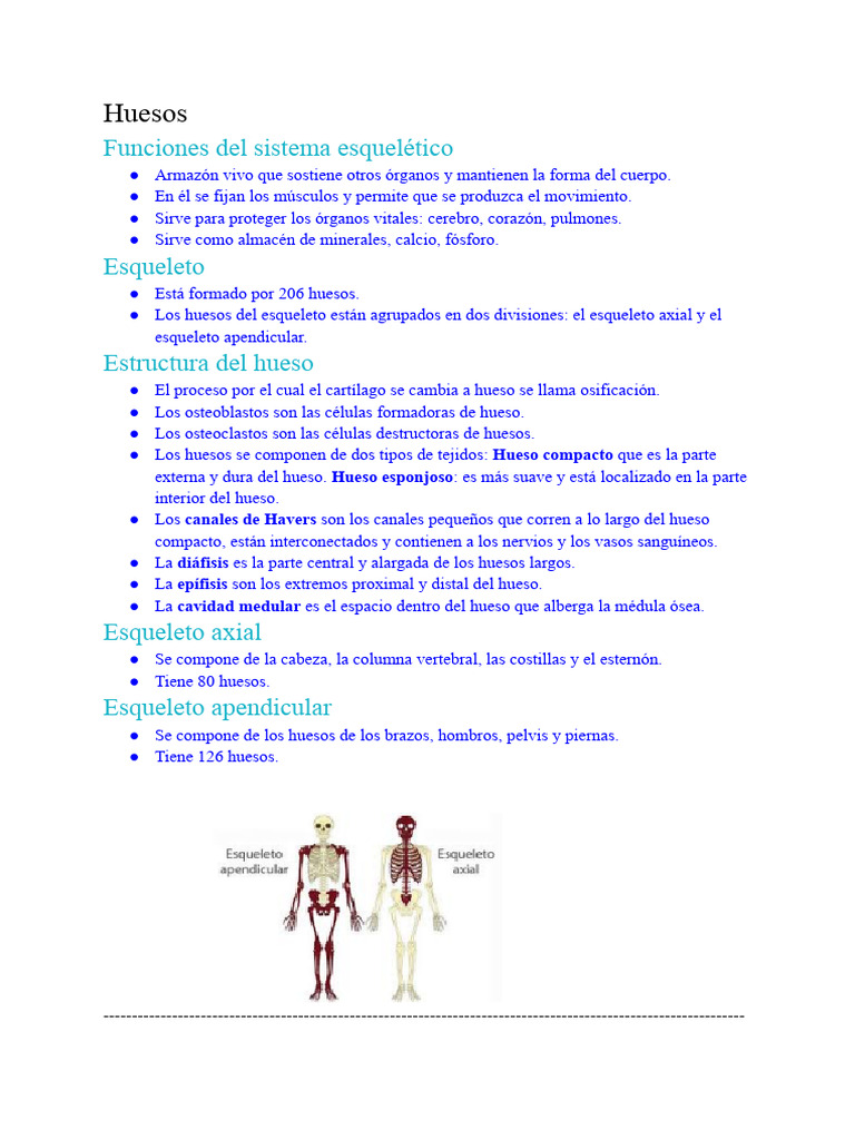 Repaso Producto Final Estructura y Funcionamiento Del Cuerpo Humano | PDF | Sistema digestivo ...