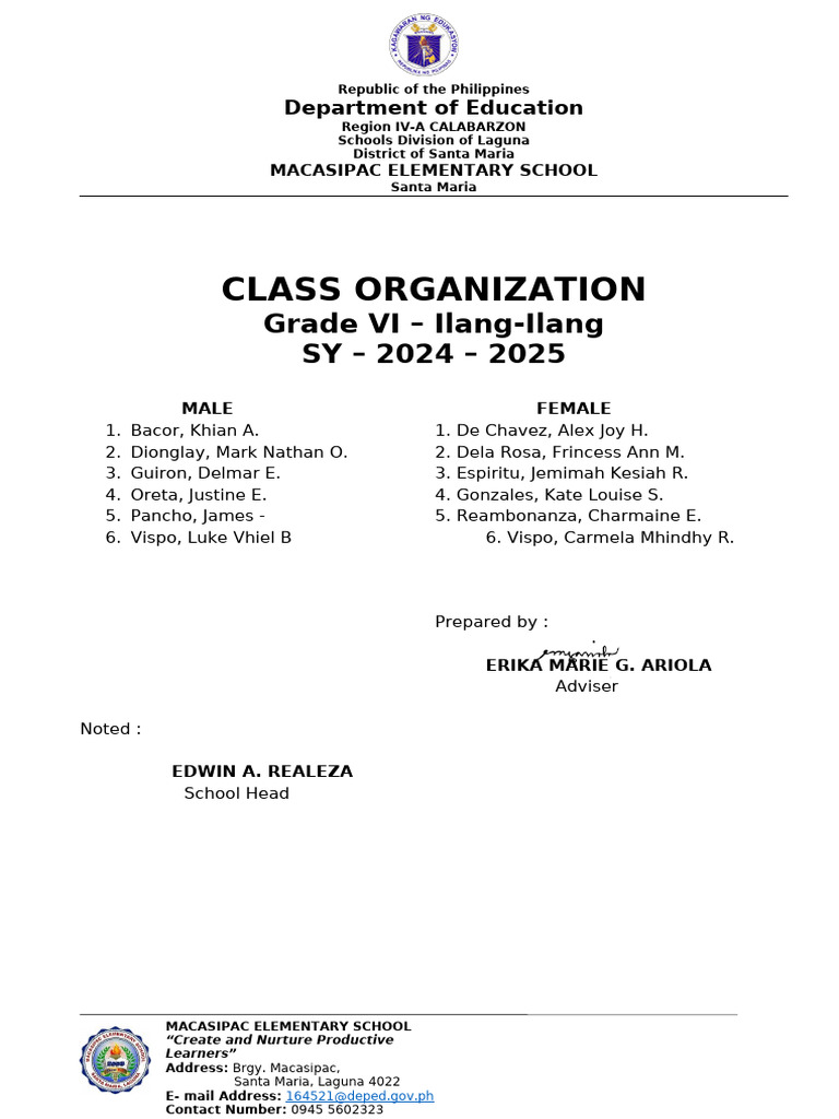 Class Organization SY 24-25 | PDF