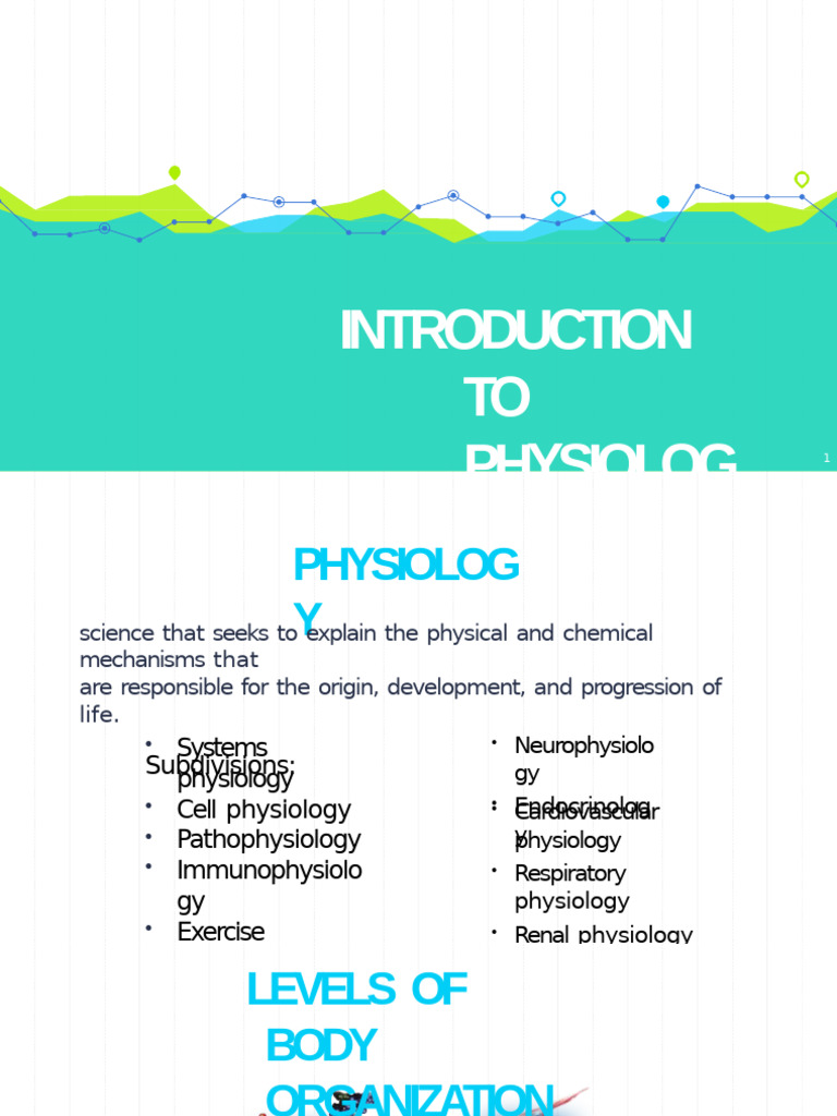 Physiological Processes | PDF | Human Body | Lymph