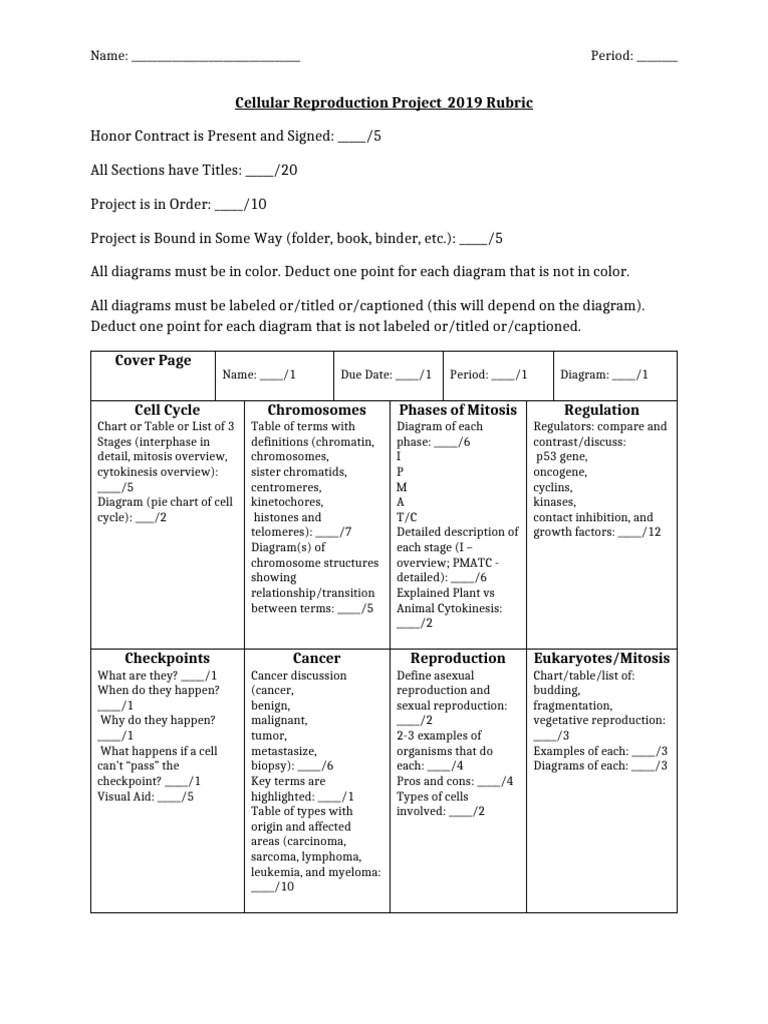 Cellular Reproduction Project Rubric_2019 | PDF | Mitosis | Chromosome