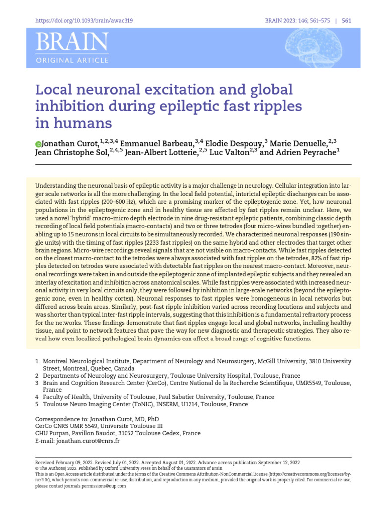 Local Neuronal Excitation and Global Inhibition During Epileptic Fast ...
