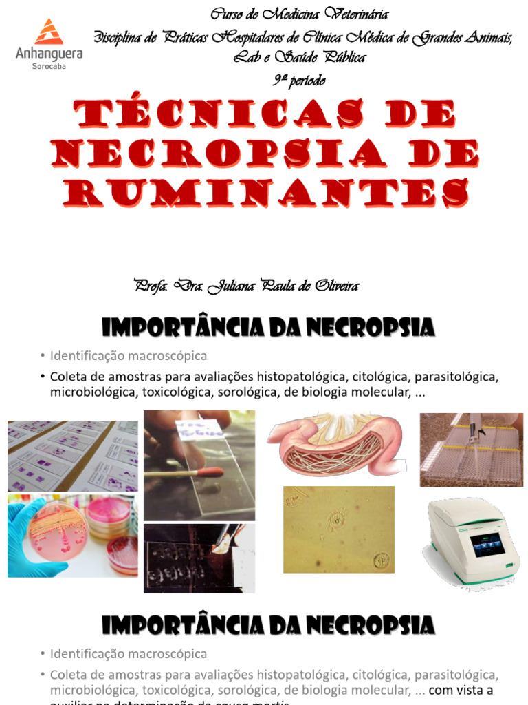 Aula 12 - Necropsia de Ruminantes | PDF | Autópsia | Estômago