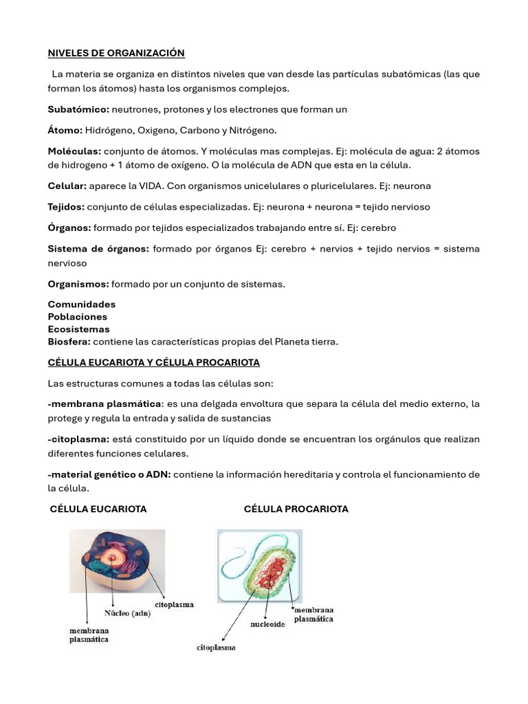 Niveles de Organización y Células | PDF | Citoplasma | Biología Celular)
