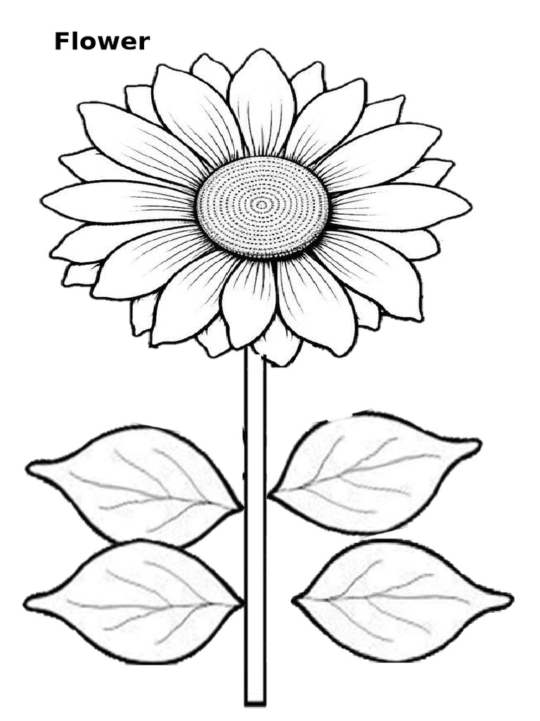 plantilla flor primer grado | PDF