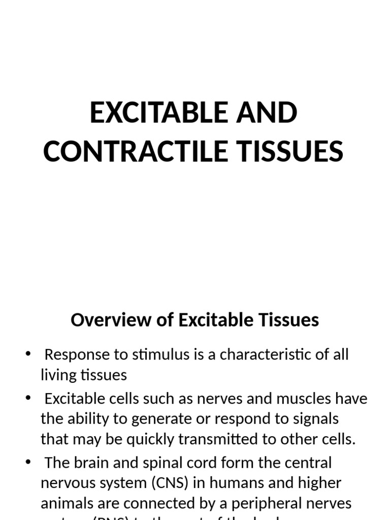Excitable and Contractile Tissues PP | PDF | Action Potential | Membrane Potential