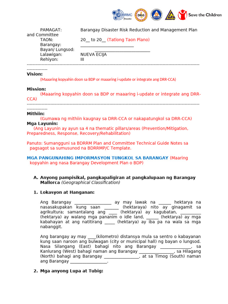 BDRRM Plan NEW Template | PDF