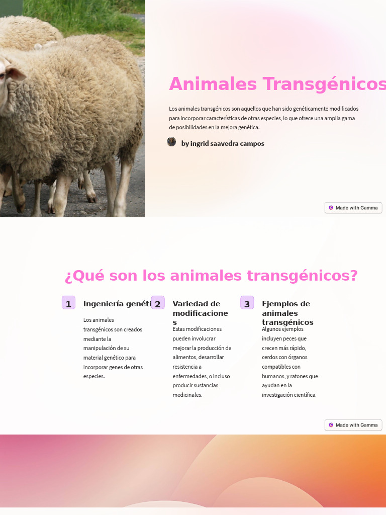 Animales Transgenicos | PDF | Organismo genéticamente modificado ...