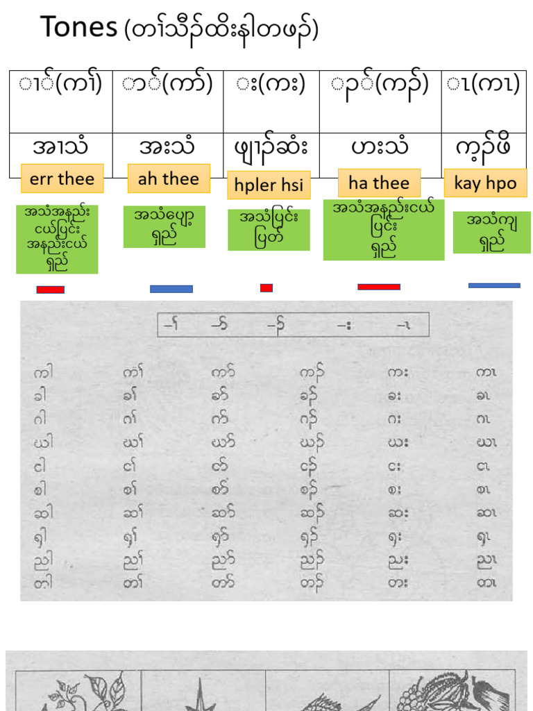 Tones and Consonant Clusters | PDF